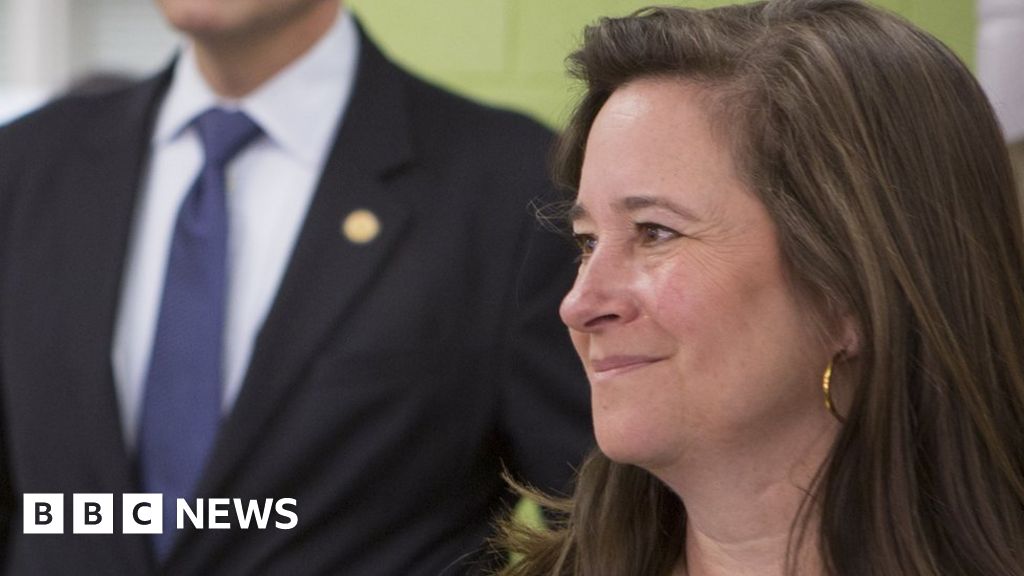 Virginia Democrat Shelly Simonds 'takes seat by one vote' - BBC News