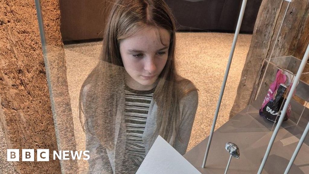 Bethan's Rock: Beloved exhibit returns to revamped Poole Museum