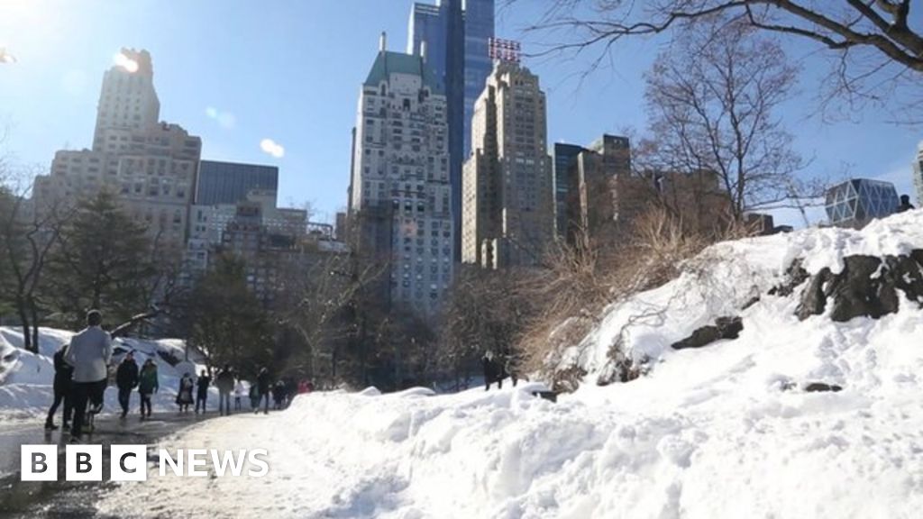 US blizzard : 'New Yorkers do it better' - BBC News