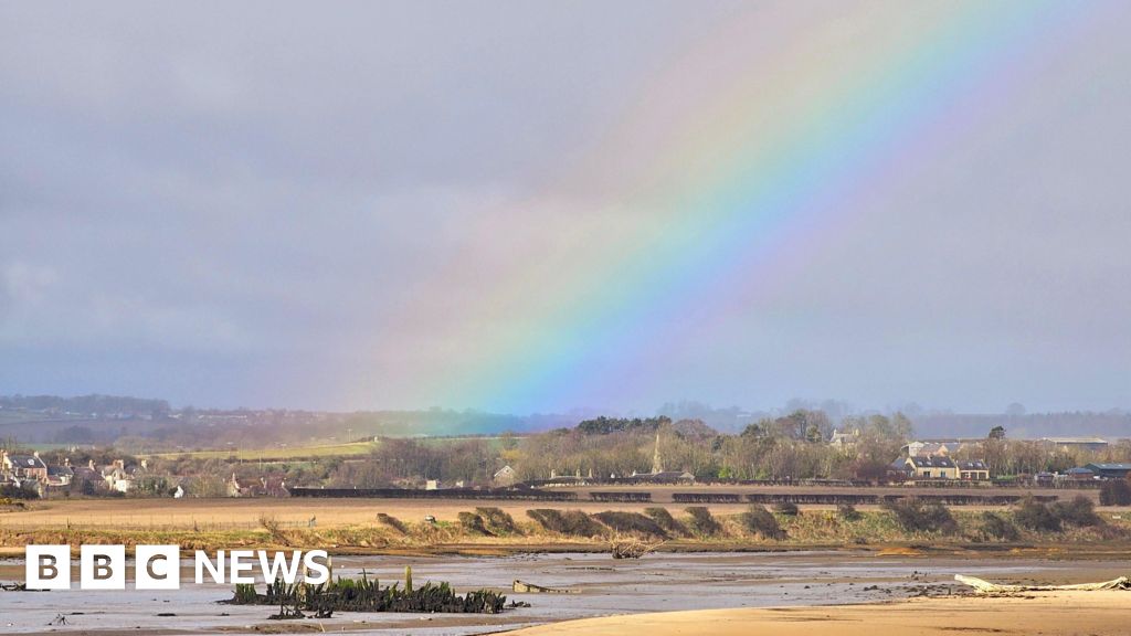 Your pictures of the North East and Cumbria as spring begins
