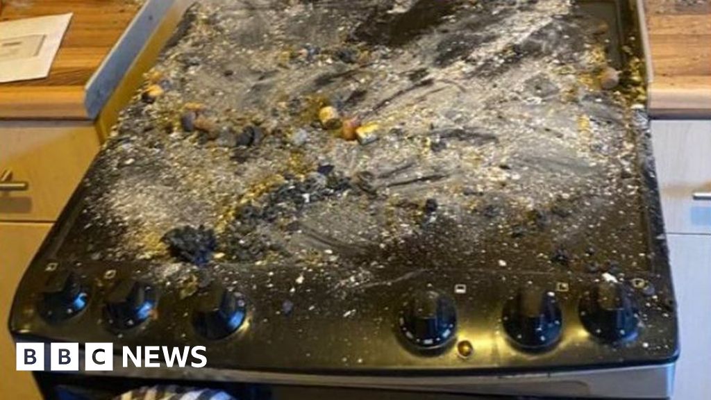 Hungry dog jumping for food starts Braintree kitchen blaze