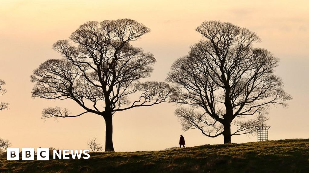 England's Big Picture: 13 November - 19 November 2023 - BBC News