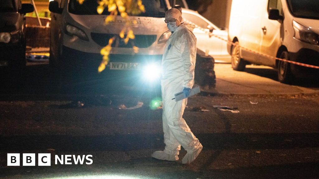 Teen arrested over Crawley stabbing attack