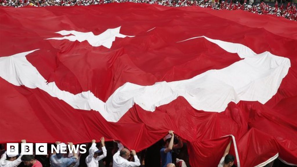 Turkey: The erratic ally - BBC News