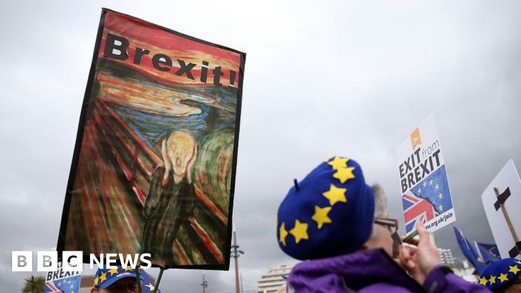 How to stop Brexit? Lib Dems mull referendum dilemma