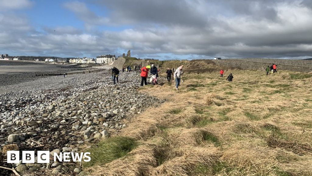 Cruise ship holiday makers tackle Manx beach litter - BBC News