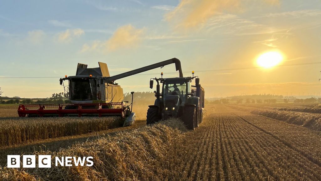 Rural economy projects in Surrey handed £1.2m cash boost - BBC News