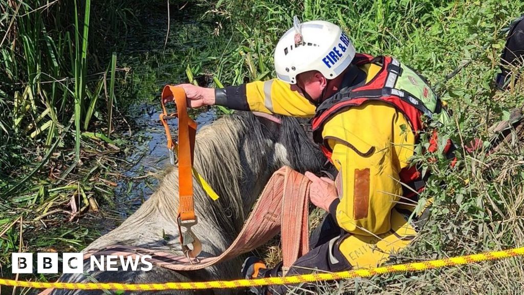 Northamptonshire firefighter wins grant for animal rescue research ...