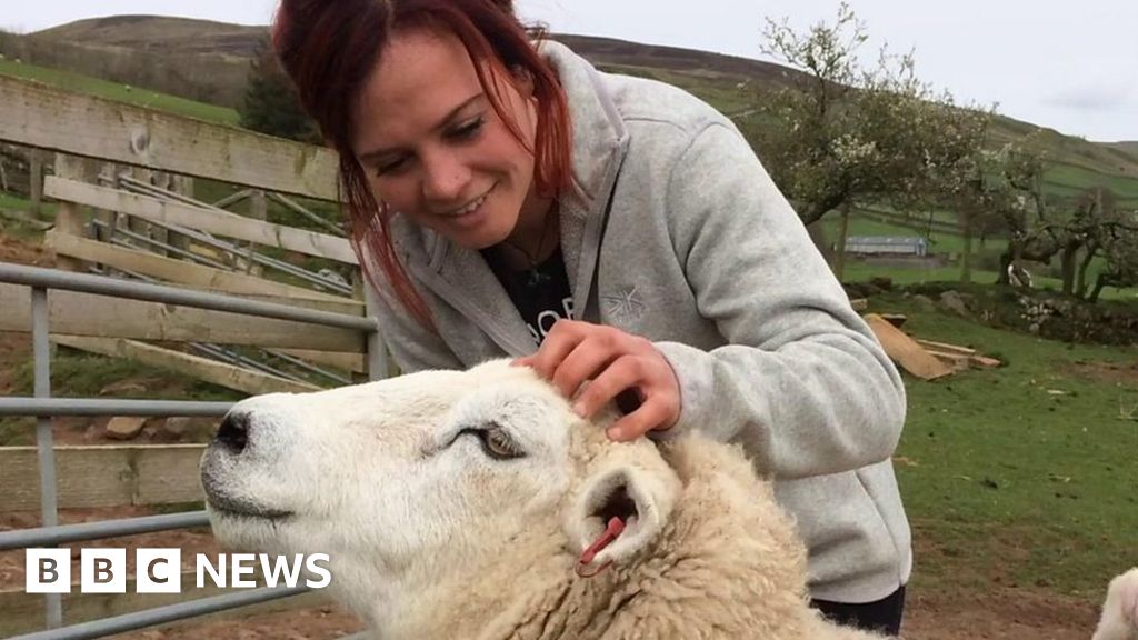 Cumbrian shepherdess Hannah Jackson 'never dreads Monday mornings ...