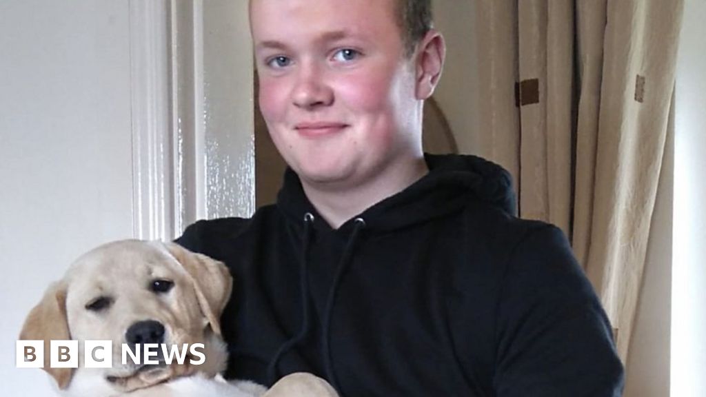 Tractor death: Men fined after trainee mechanic Neil Graham crushed ...