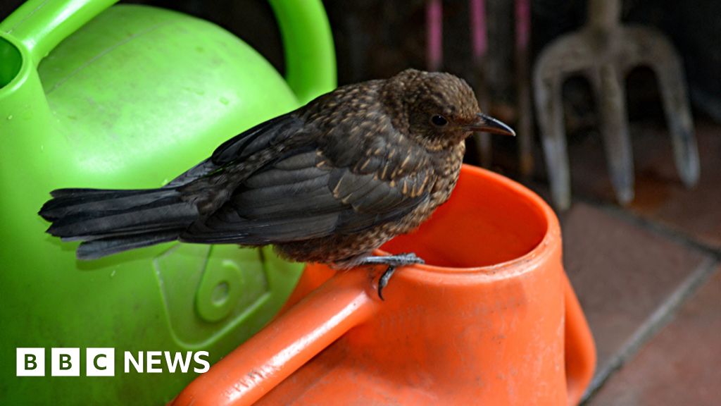 Your pictures of Scotland: 19-26 June - BBC News