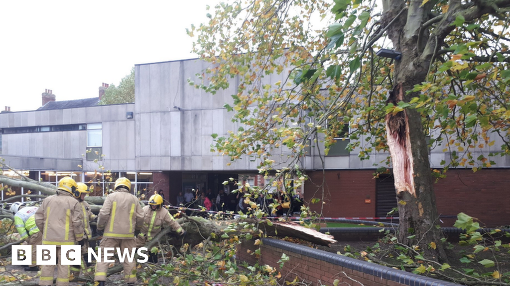 Woman crushed by falling tree in Market Drayton - BBC News