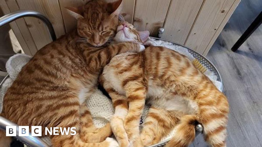 Daisy Stephens - Journalist Profile - Intelligent Relations