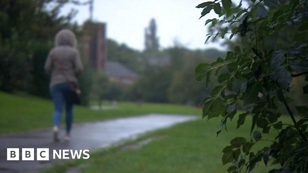 Rotherham child sex abuse: Police drop troll case - BBC News