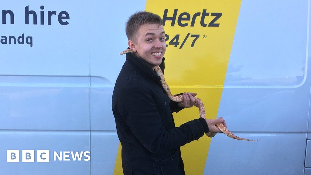 Snake freed after five months living in rental van