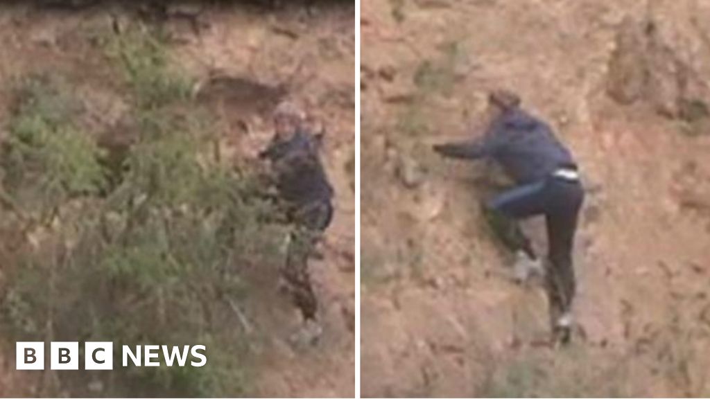 Rotherham falcon theft: CCTV images released by police - BBC News