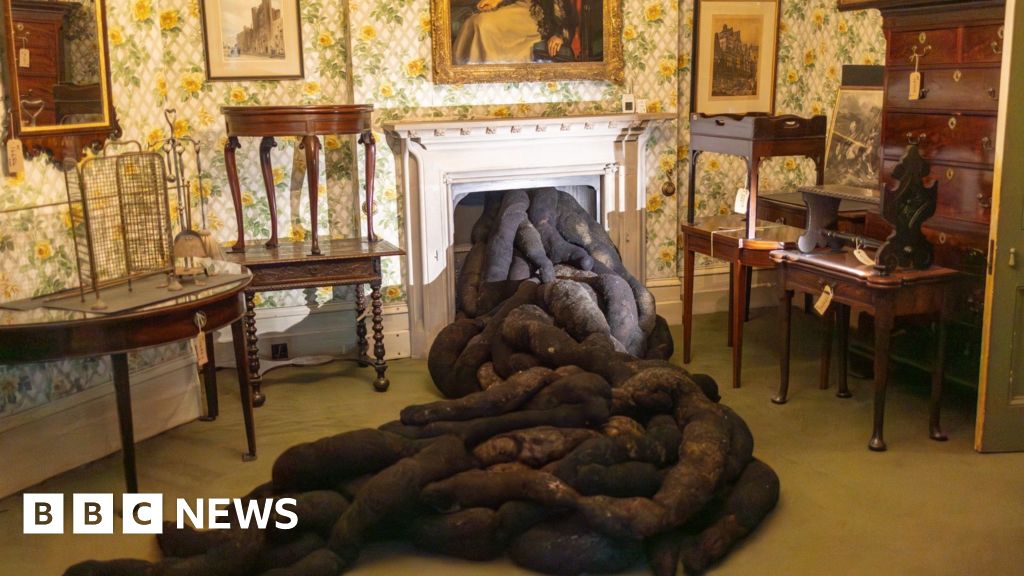 Tyntesfield House artwork made of 'dead' matter - BBC News