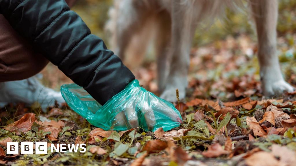 Dorset Police warning after cows fall ill from eating dog poo - BBC News