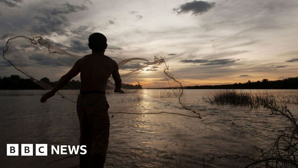 Sciaf launches annual Wee Box appeal to help world's poor - BBC News