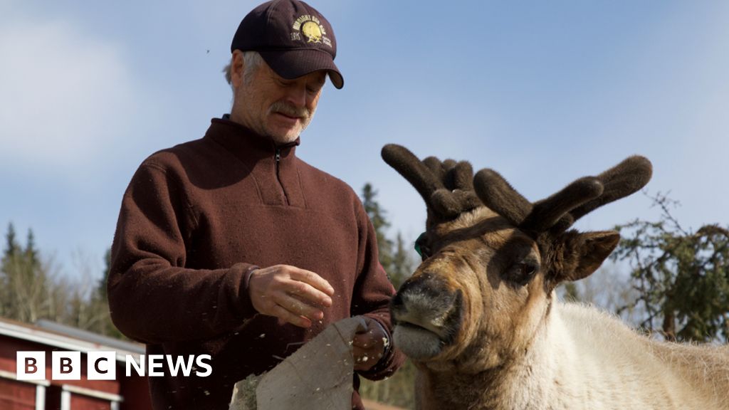Why are reindeer flying to a remote Alaskan village? - BBC News