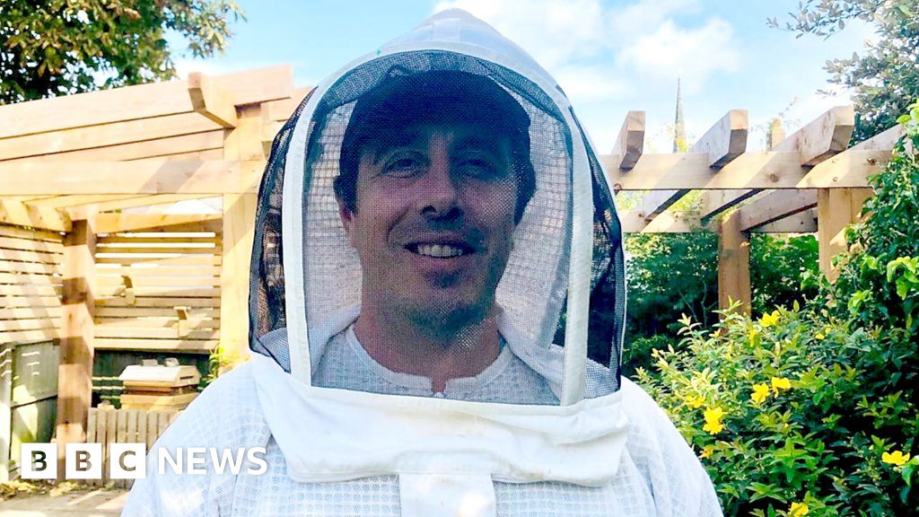 Afghanistan soldier: Bees' hum 'like a comfort blanket'