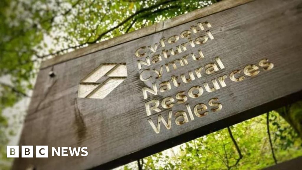 Natural Resources Wales: 'Rough 12 months' ahead for watchdog - BBC News