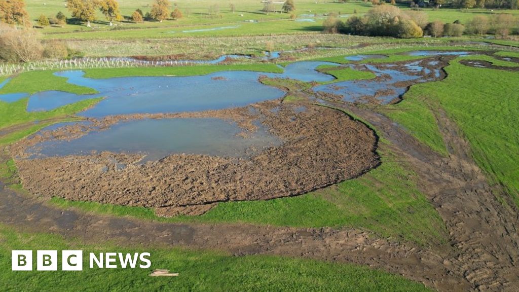 River Cole: Historic floodplains to be restored - BBC News