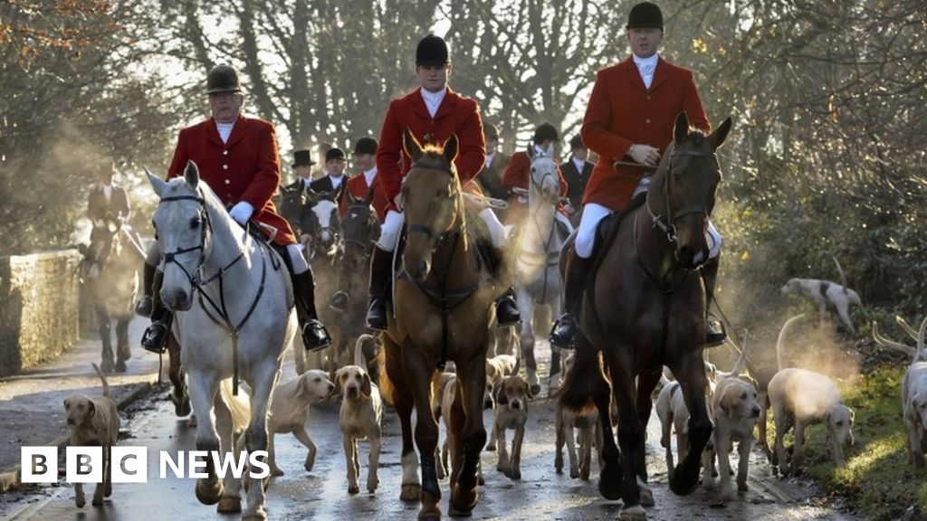 Fox hunting: Parliament has 'better things to do' than repeal Act - BBC ...