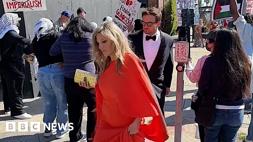 Watch: Gaza protest in Hollywood stops Oscars traffic