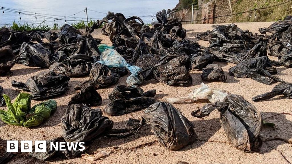 Coastal litter pickers find 101 dog waste bags on walk