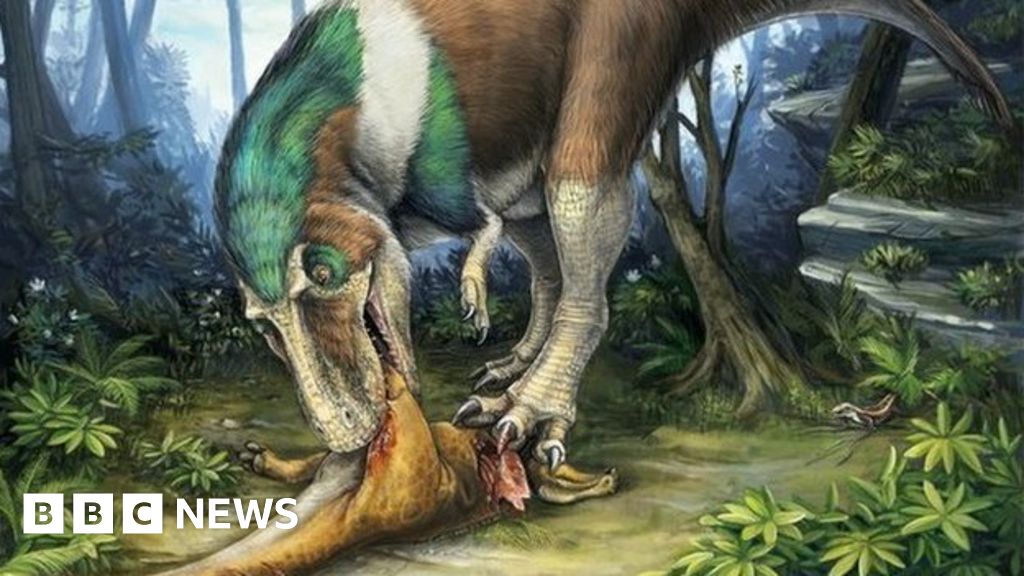 Structural secret of T. rex's bone-crushing teeth - BBC News