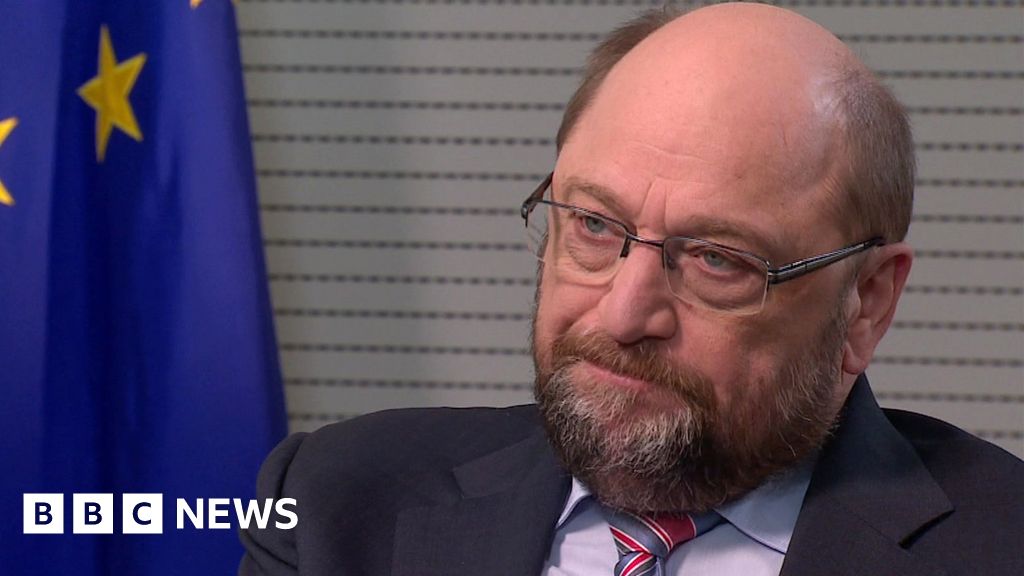 Schulz: UK PM David Cameron is 'fighting' for Europe - BBC News