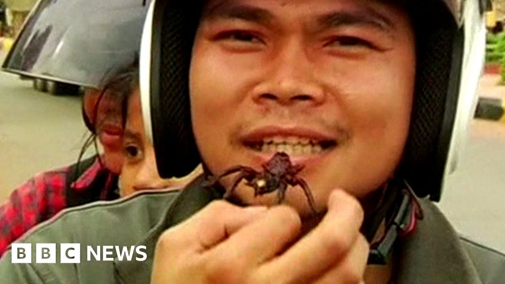 Deep fried tarantula, anyone? - BBC News