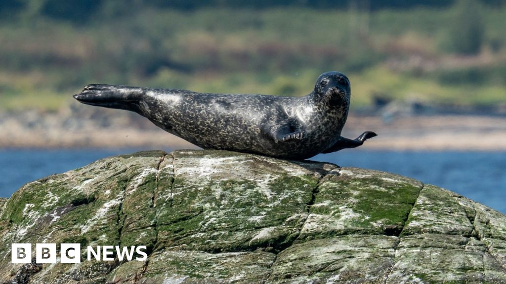 Your pictures of Scotland: Photographs from around the country