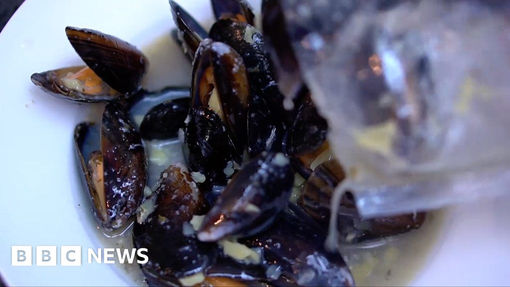Plastic and cotton found in UK's wild mussels