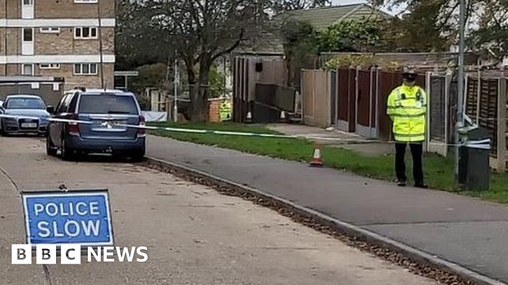 Murder arrest over woman's death in Vange