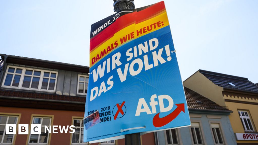 Germany's far-right AfD: Victim or victor?