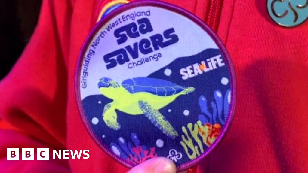 Girlguiding North West England introduces new Sea Savers badge - BBC News