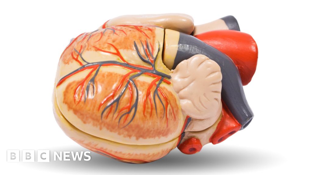 Why your new heart could be made in space one day