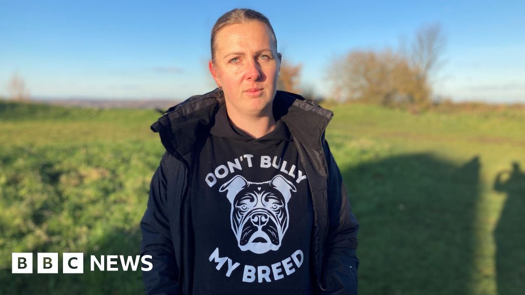 American bully XL ban a 'personal attack', says Sheffield owner - BBC News