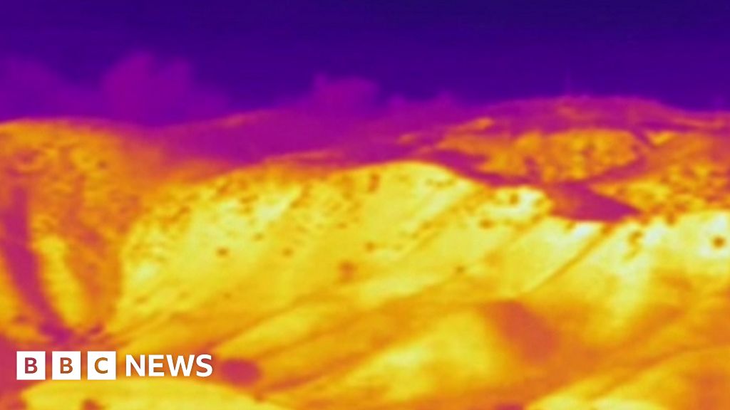 State of emergency over LA gas leak - BBC News