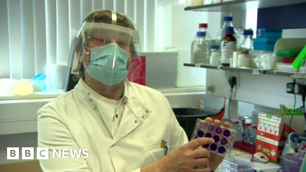 Coronavirus: Covid-19 samples tested in Belfast laboratory - BBC News