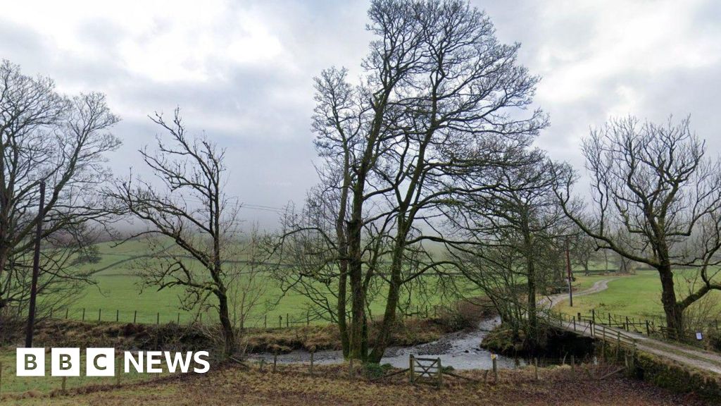 Rare river jelly lichen found in River Sprint - BBC News