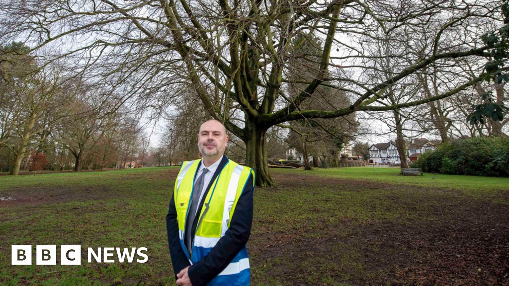 Thousands of tree inspected across Wolverhampton - BBC News