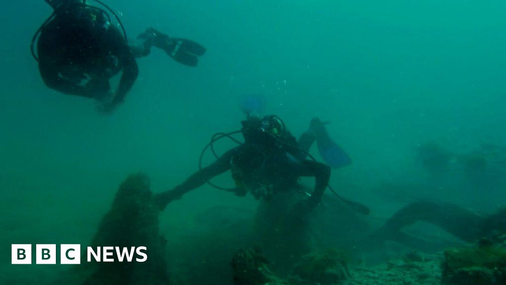 Ancient underwater forest found in US