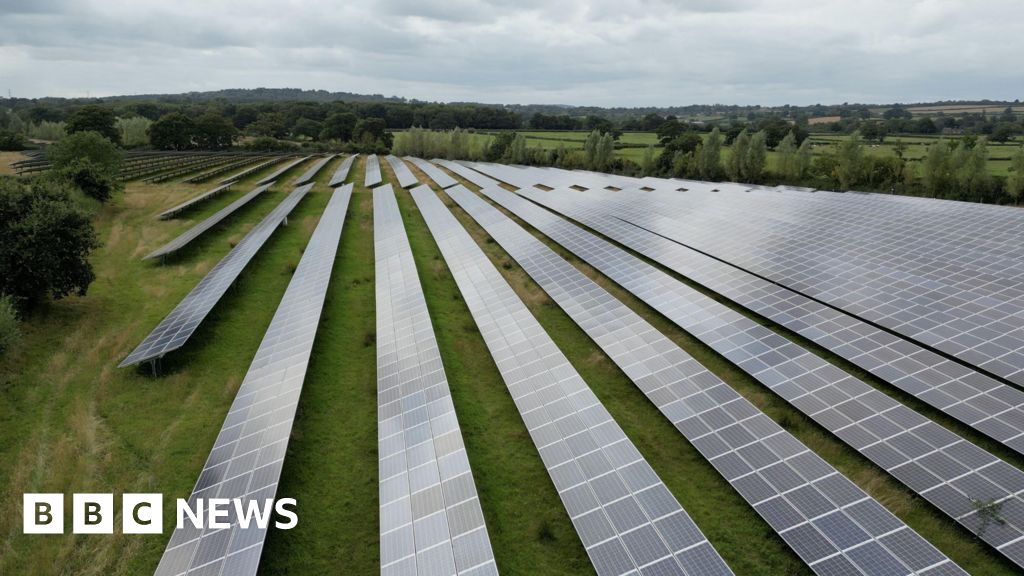 New application for solar farm spanning eight fields in Jersey - BBC News