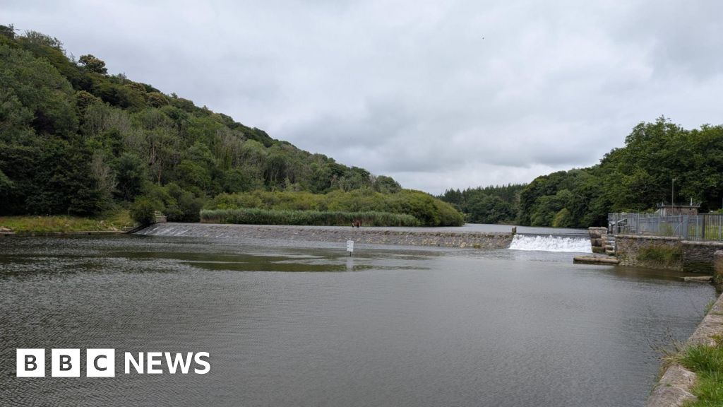 Woman saves boy from Devon dam after hearing screams for help