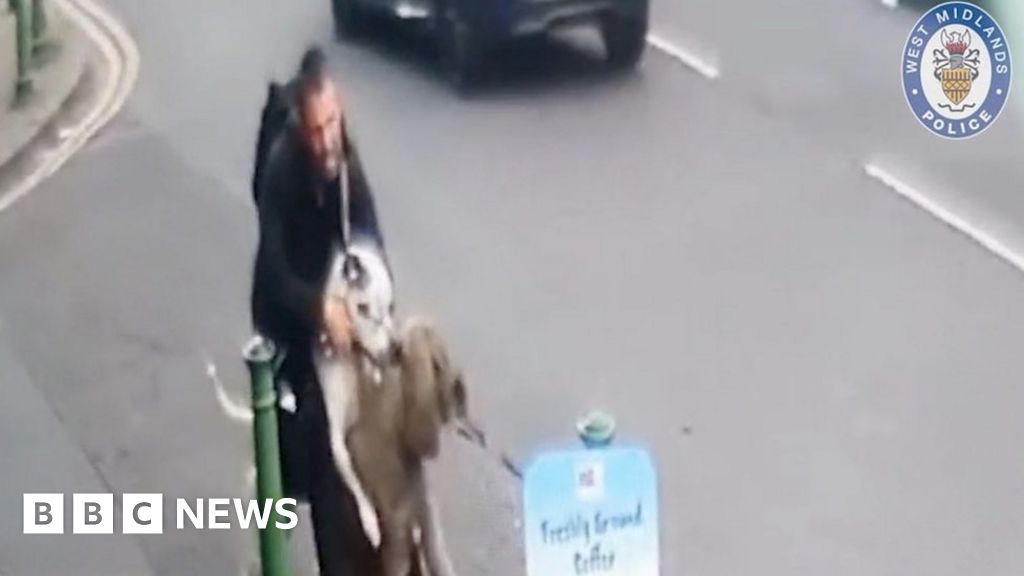 Woman and her labradoodle injured during Handsworth dog attack