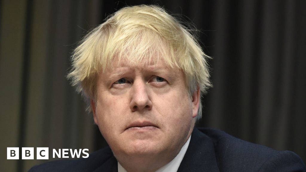 ‘Misunderstanding diplomatic speak for blunder’ - BBC News