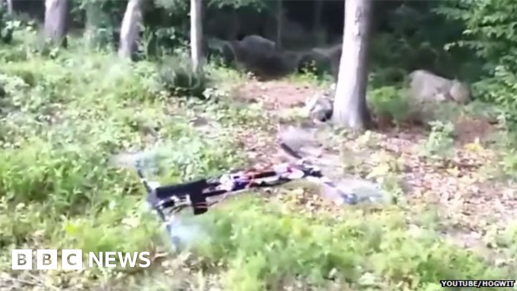 US probe into handgun-toting drone video - BBC News